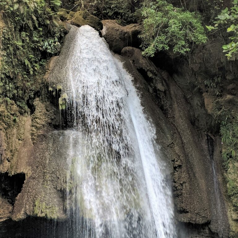 Kawasan Falls (Badian, Philippines) | Choose Your Adventure