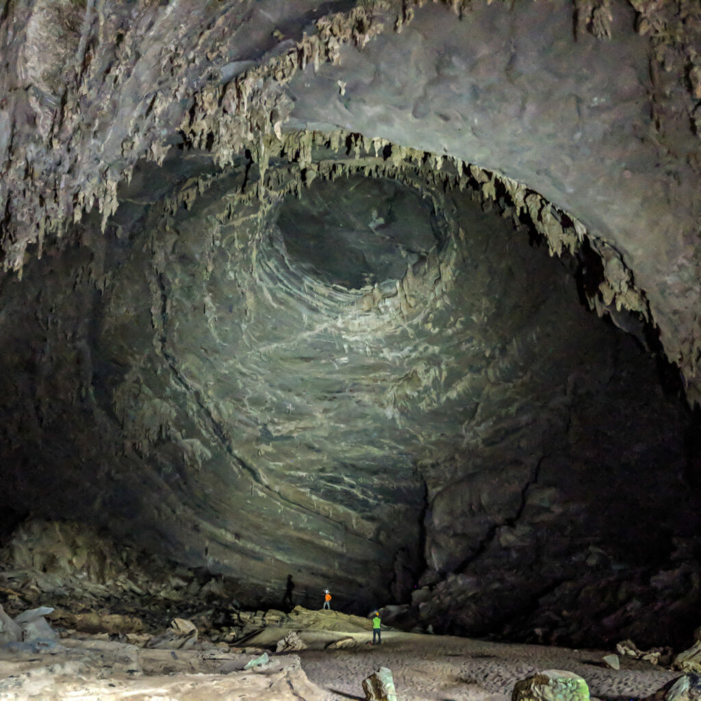 Philippine Tarsier Sanctuary (Bohol, Philippines) | Choose Your Adventure