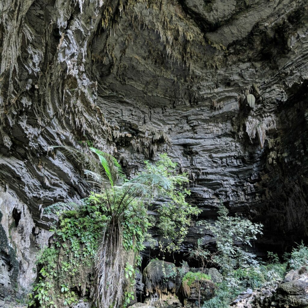 Hang Tien Cave (Phong Nha-Ke Bang National Park, Vietnam) | Choose Your ...