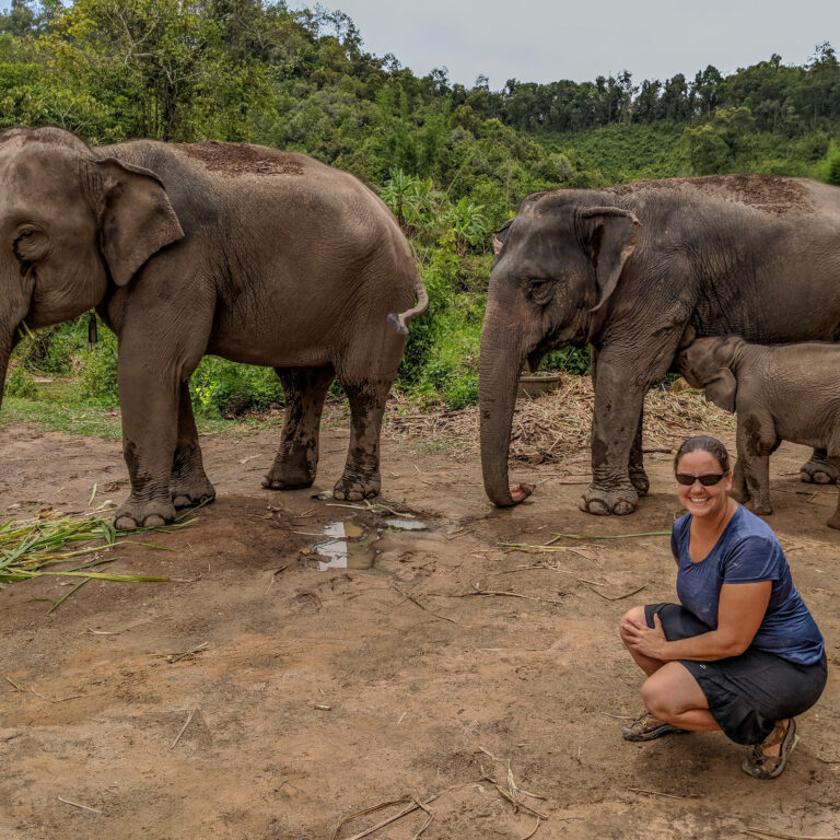 Karen Tribe Native Elephants (Chiang Mai, Thailand) | Choose Your Adventure