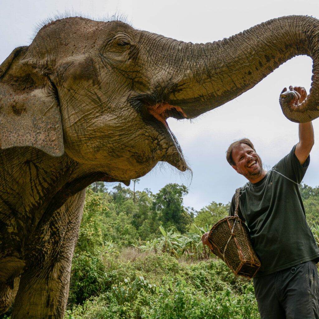 Karen Tribe Native Elephants (Chiang Mai, Thailand) | Choose Your Adventure